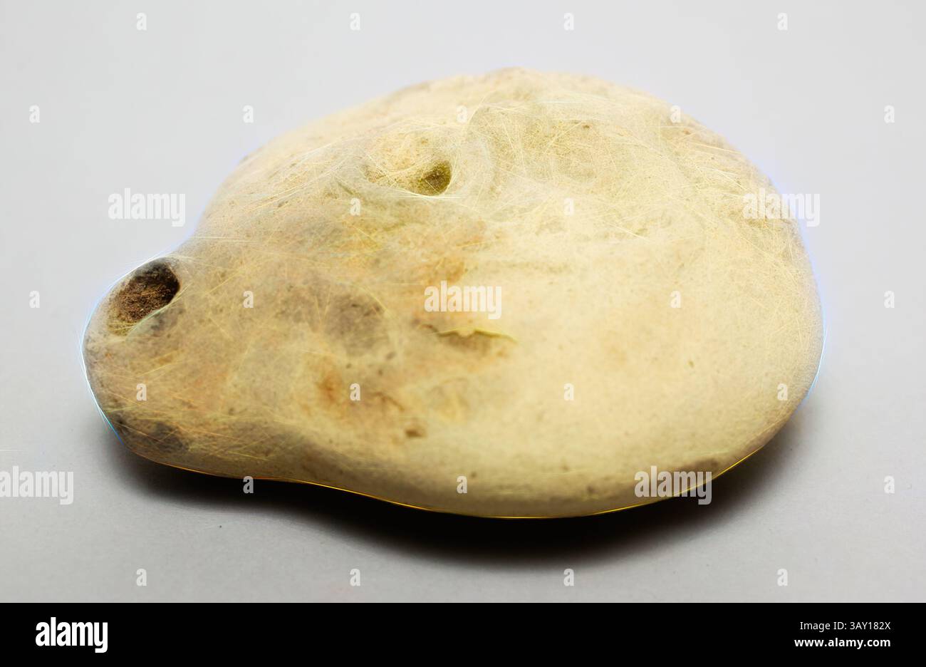 A smooth, rounded stone with a light, earthy surface featuring subtle ...