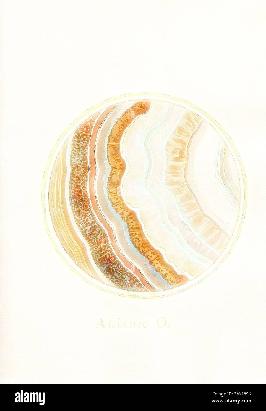 A circular illustration featuring layered patterns in warm, earthy ...