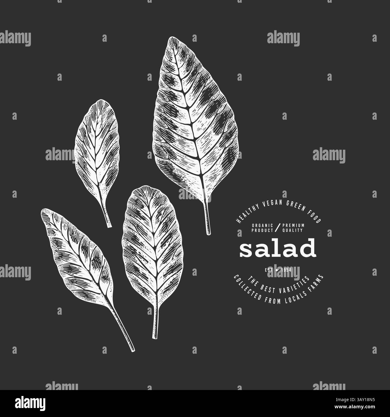 Vintage Style Chalk Board Amaranth Illustration. Green Vegetable ...