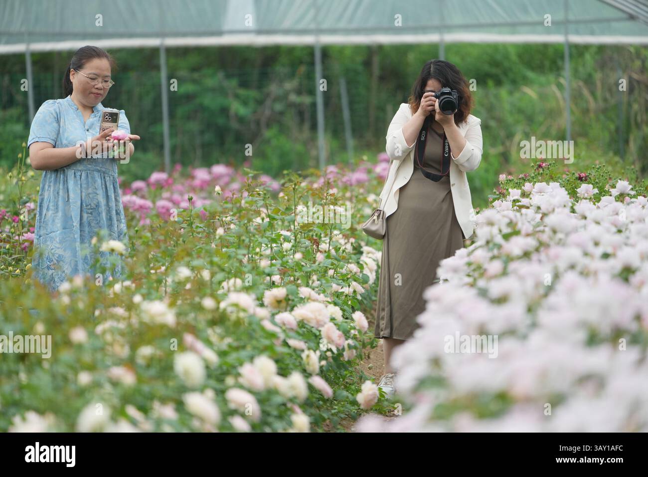 (250422) -- LONGYOU, April 22, 2025 (Xinhua) -- Visitors take photos at ...