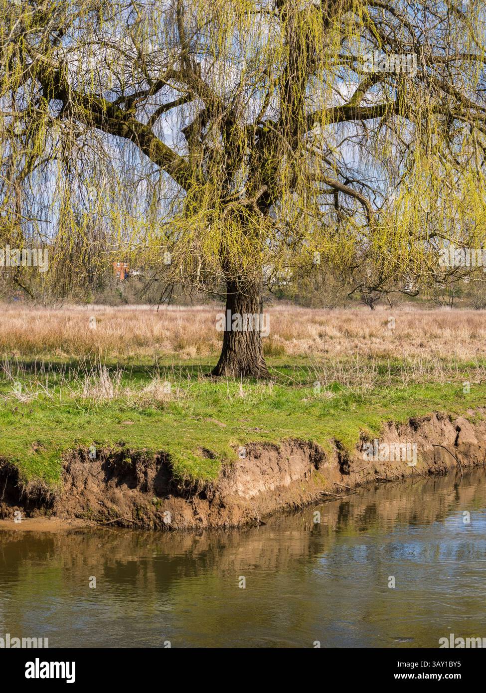 River Way and Lamas Lands, Flood plane Meadow, Godalming, Surrey ...