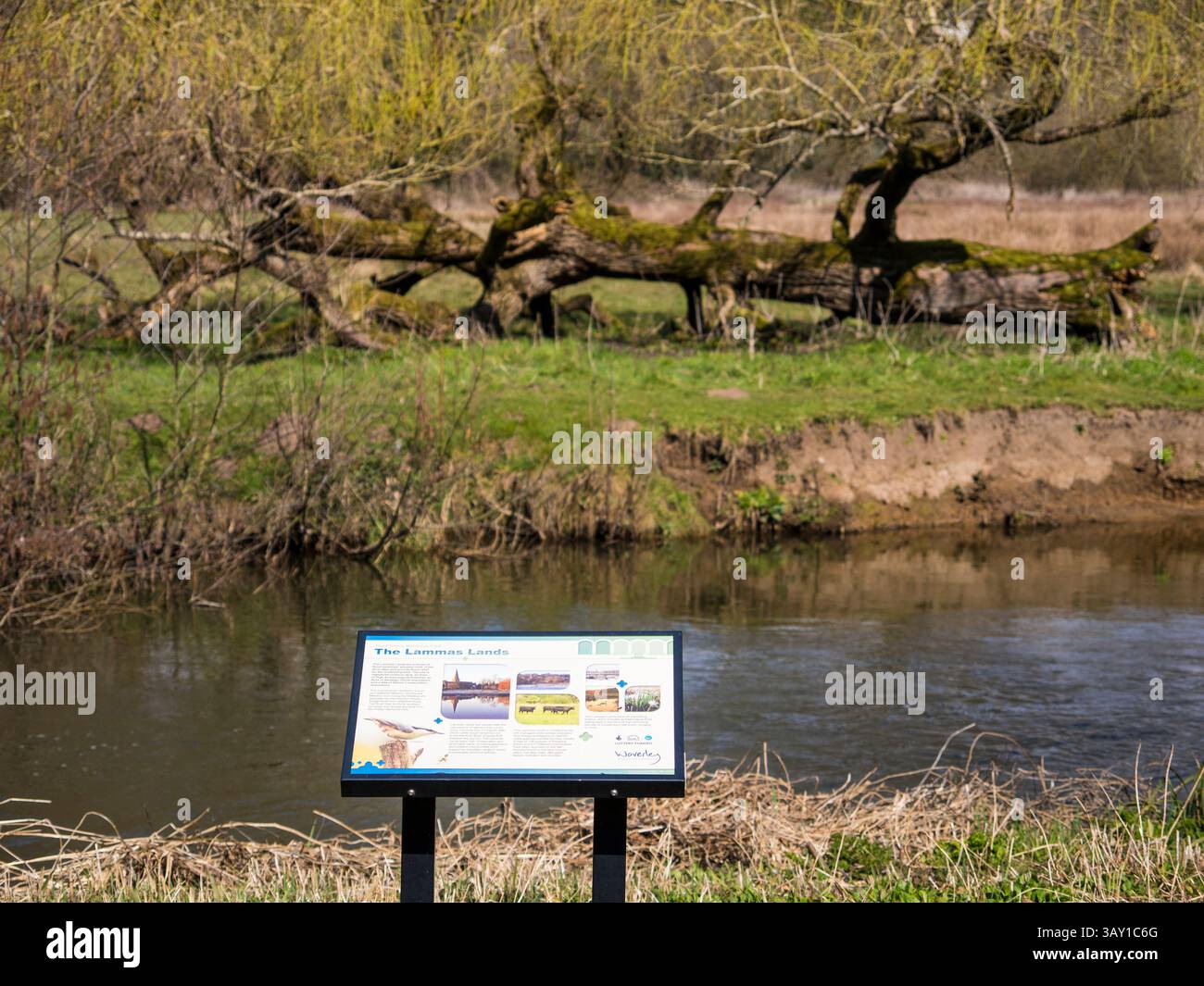 River Way and Lamas Lands, Flood plane Meadow, Godalming, Surrey ...