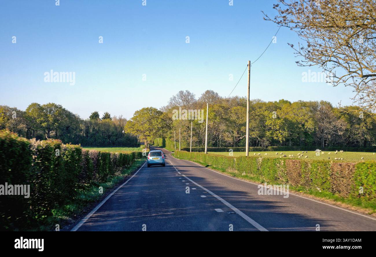 The A29 country road near Billingshurst, Stane Street, West Sussex ...