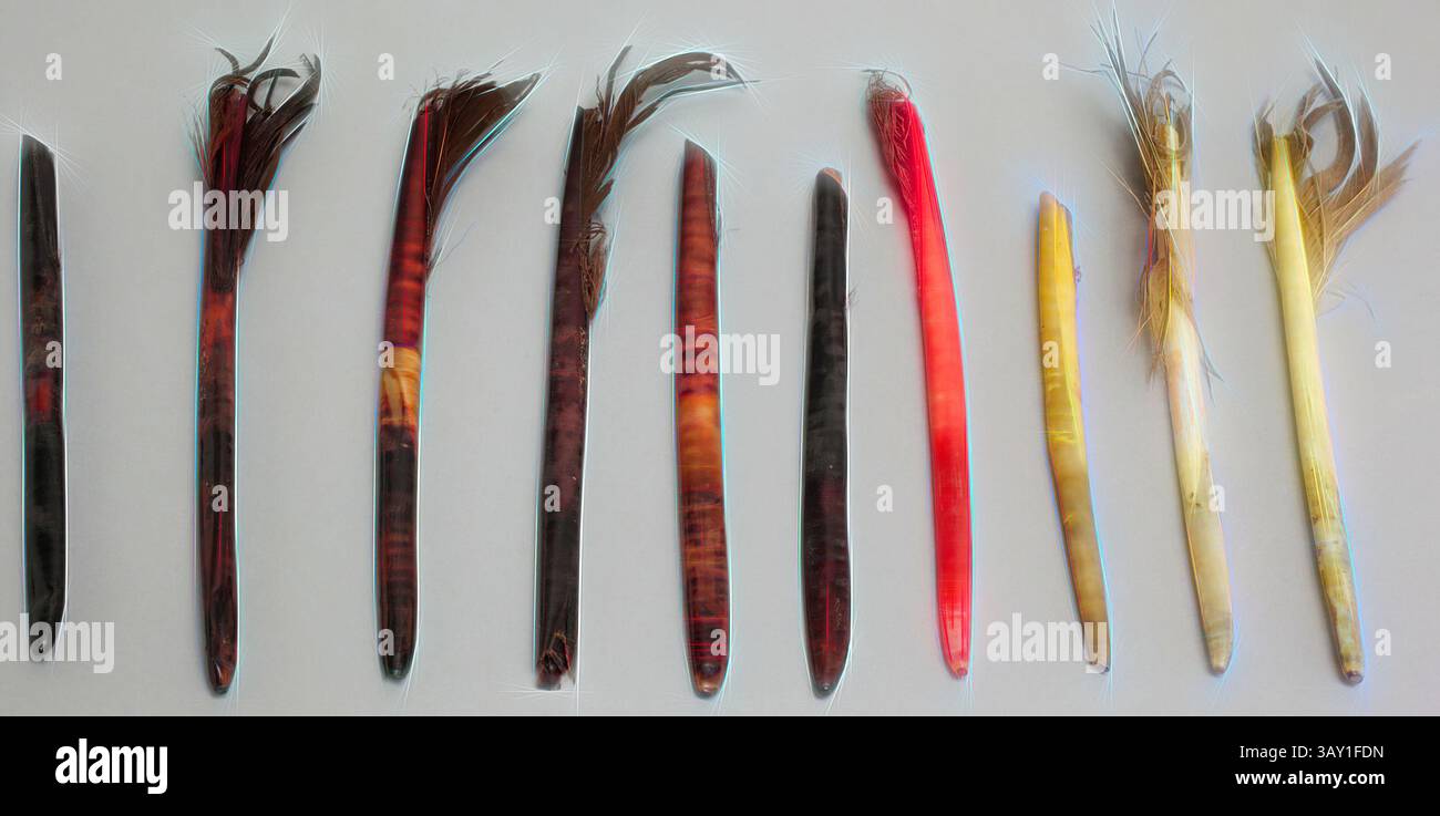 A row of elongated, slender objects in various shades, showcasing a ...