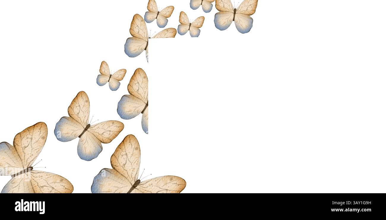 Beige butterflies, watercolor drawing on white background. Ideal for ...