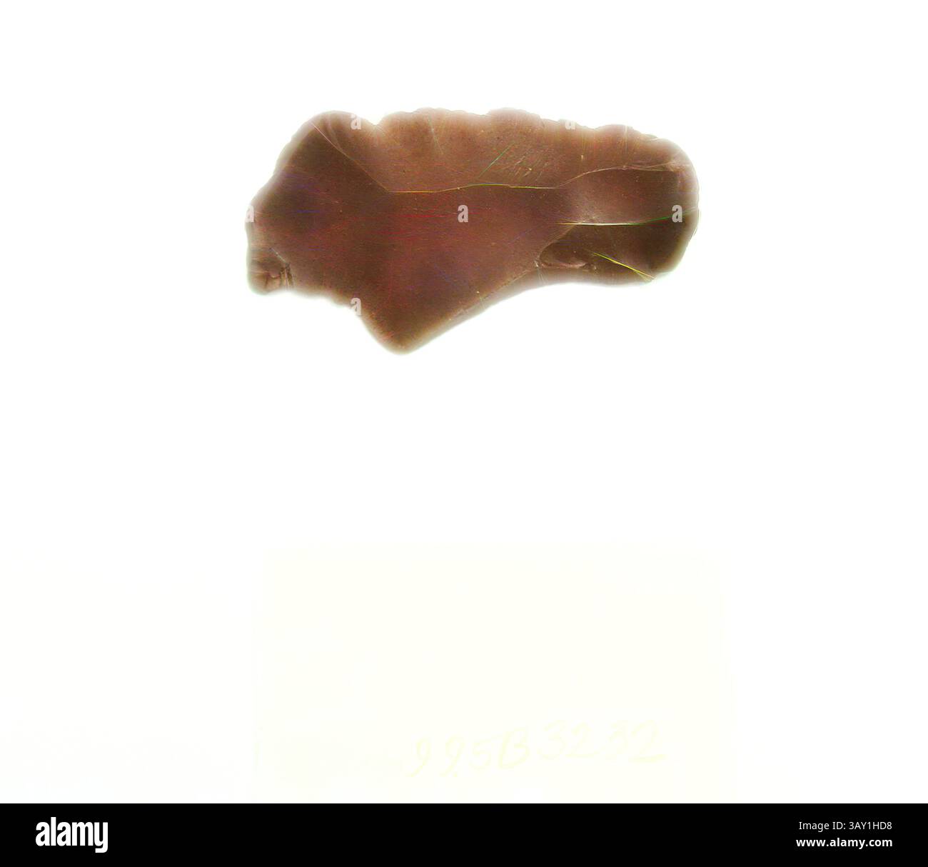 Pale shard of flint hi-res stock photography and images - Alamy