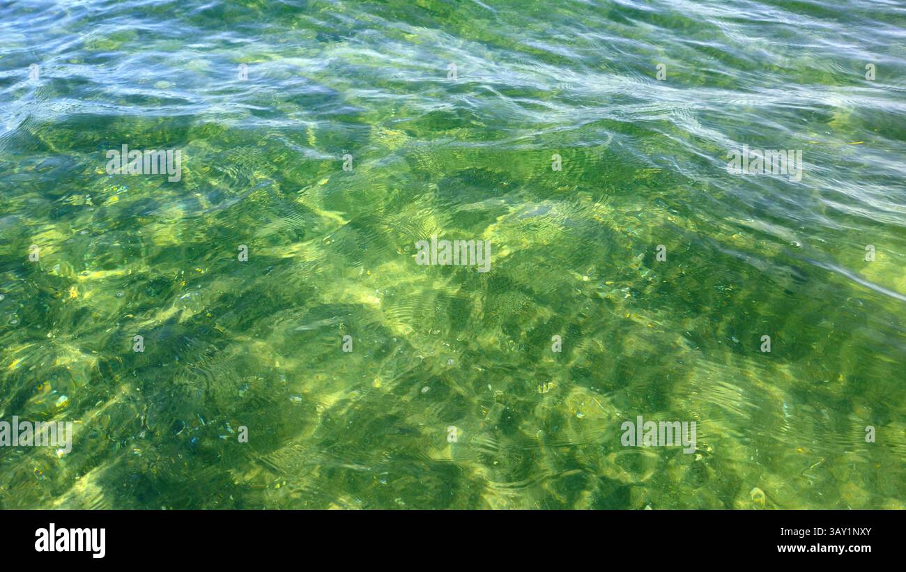 Beautiful wavy surface of clean and transparent turquoise sea water ...