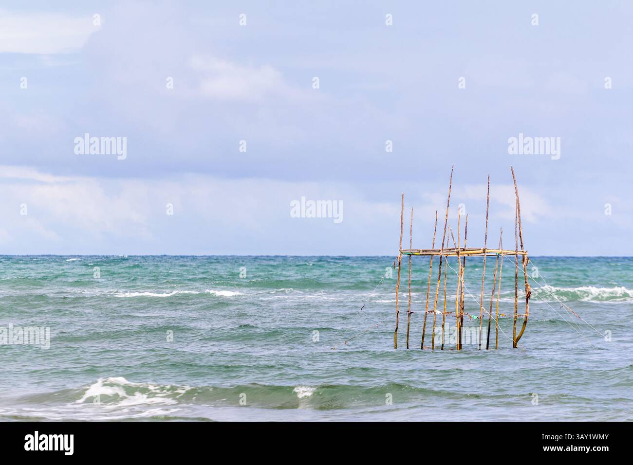 Structure of a fish scale hi-res stock photography and images - Alamy