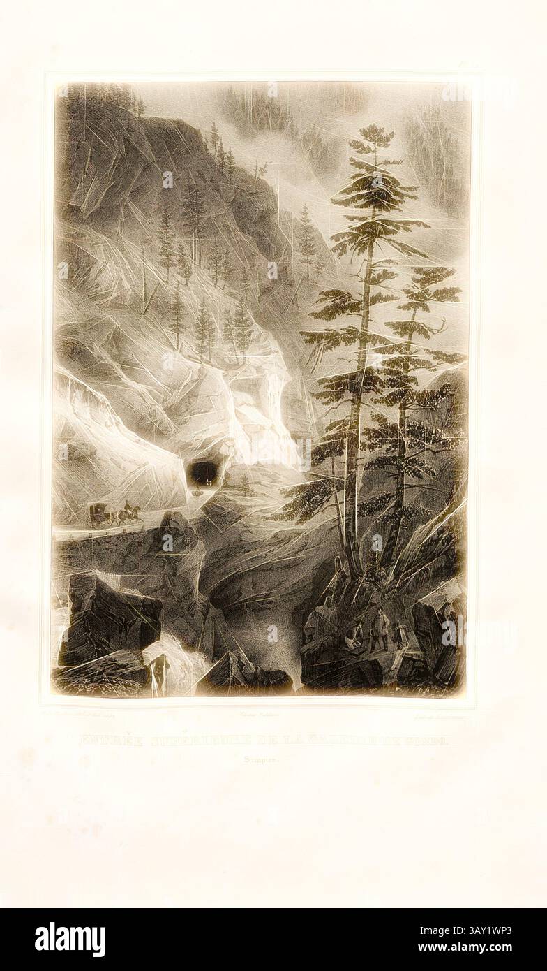 A serene landscape featuring towering trees amidst rocky cliffs, with ...