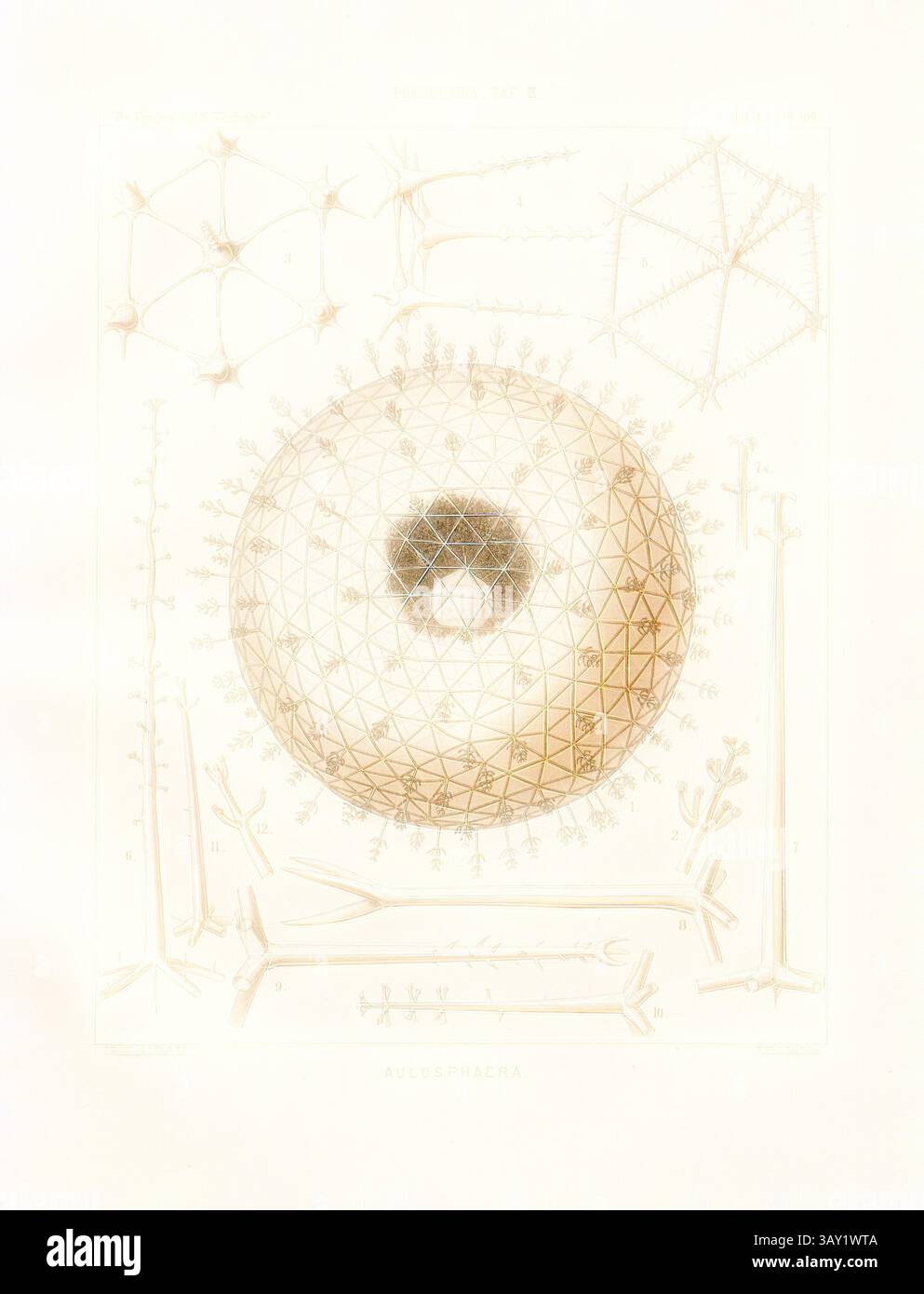 An intricate design featuring a central spherical shape surrounded by ...