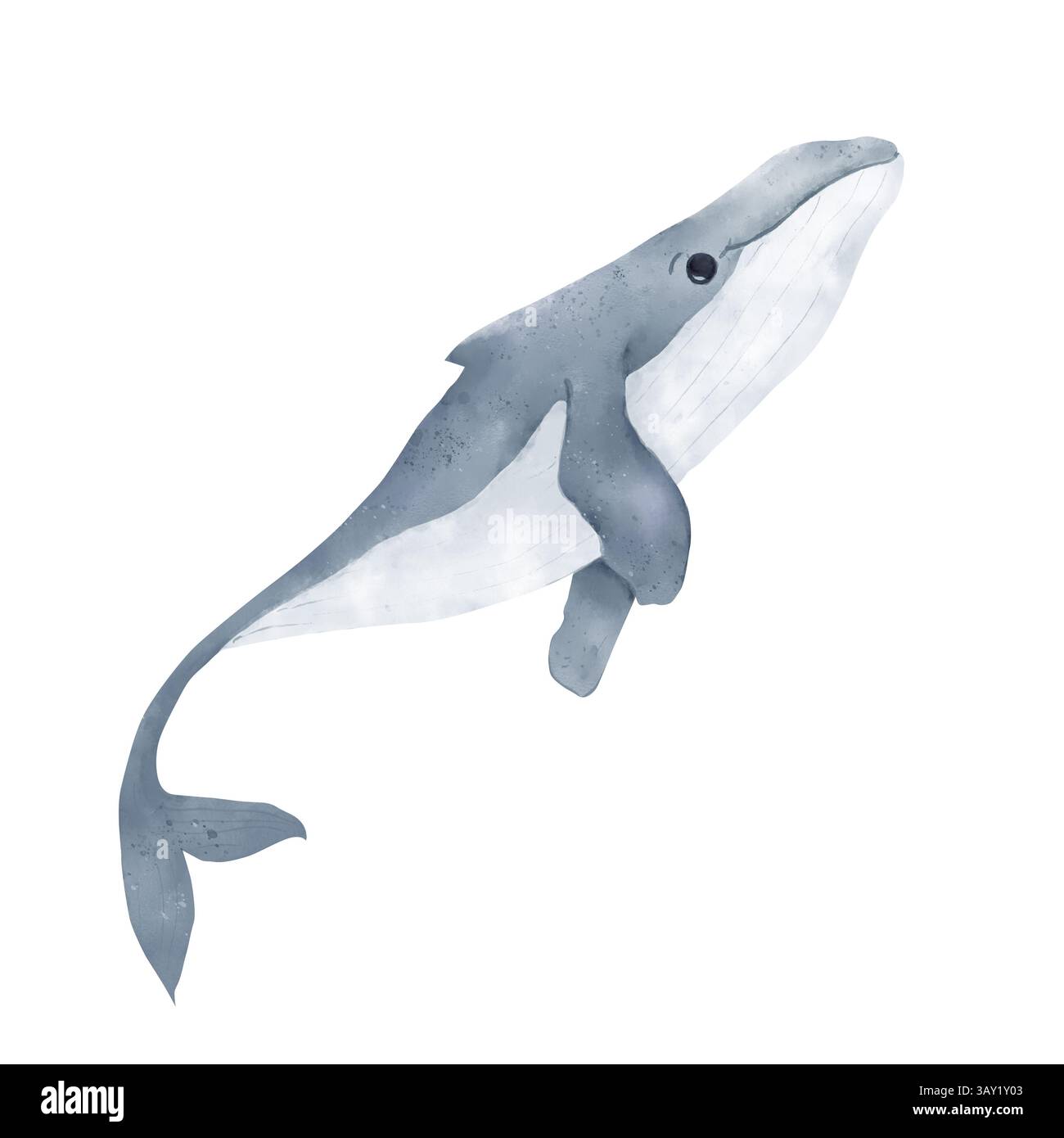 A humpback whale with a beautiful tail and fins. Watercolor ...