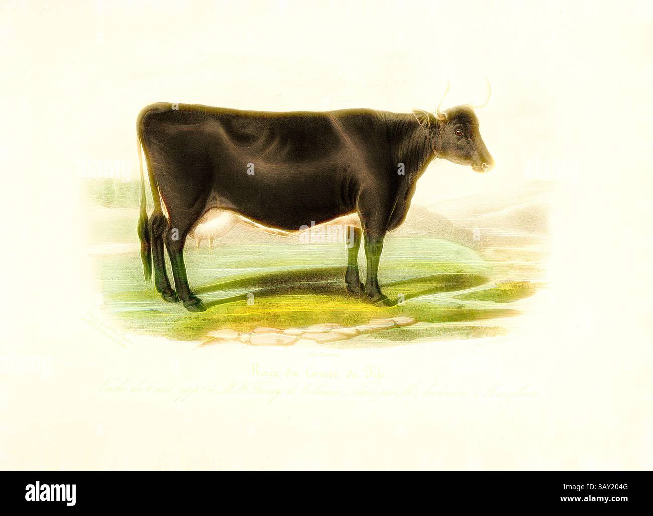 A detailed illustration of a cow standing in a pastoral setting ...