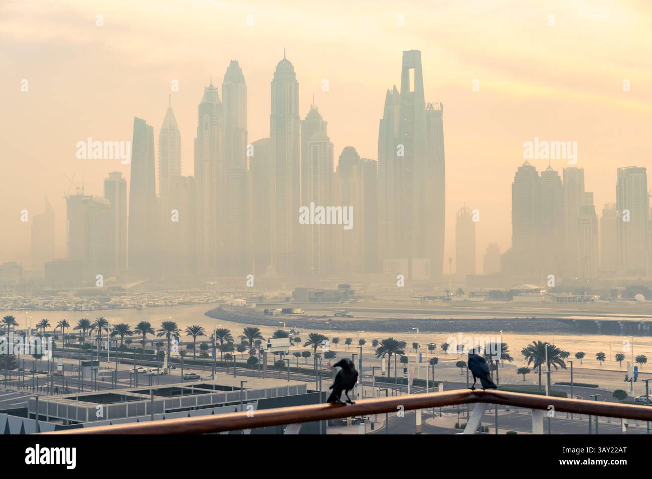 Dubai, UAE - December 31, 2024: Two birds perch on a railing, overlooking Dubai’s hazy skyline ...