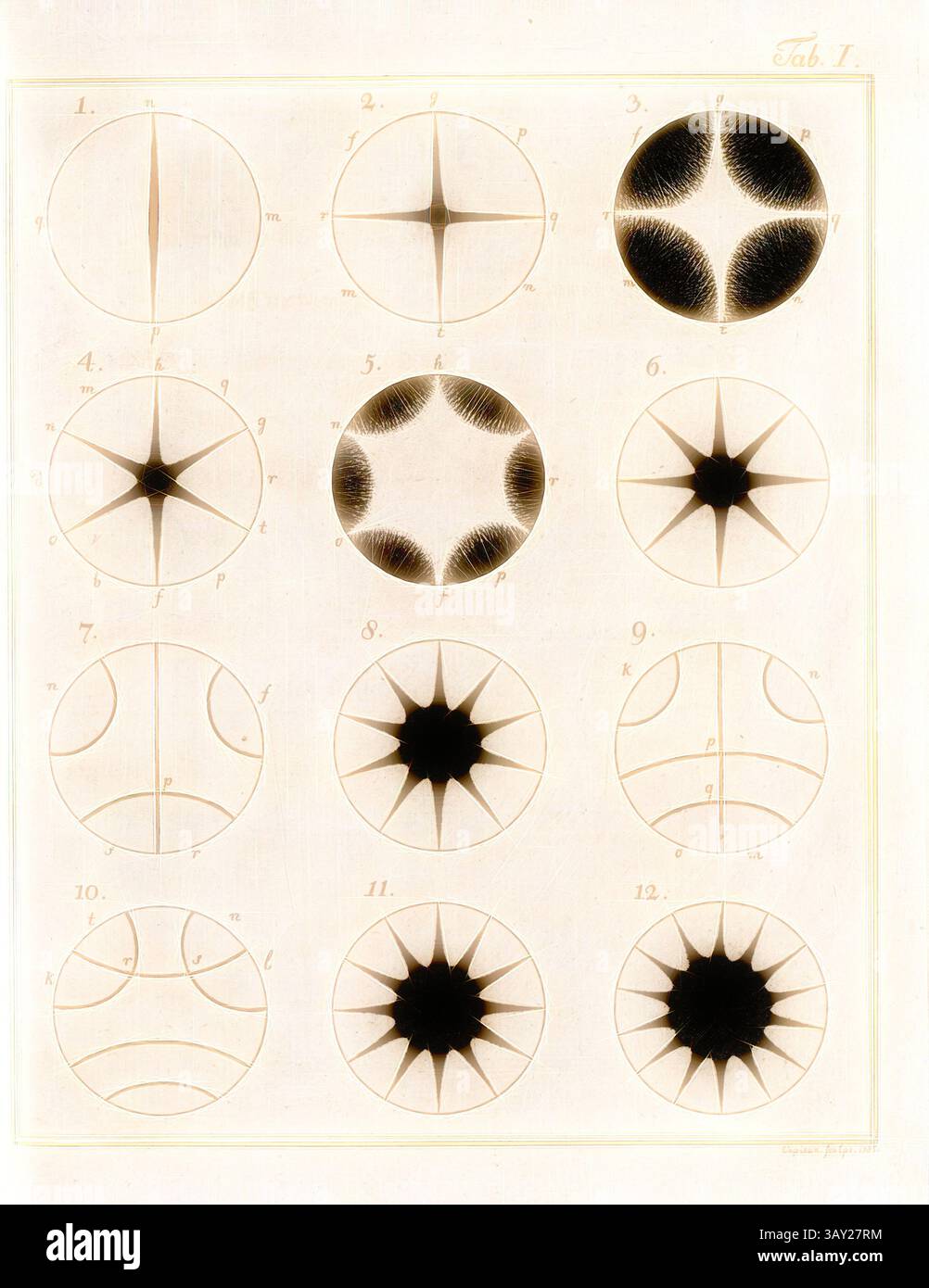 A grid of twelve intricate patterns, each showcasing distinctive shapes ...