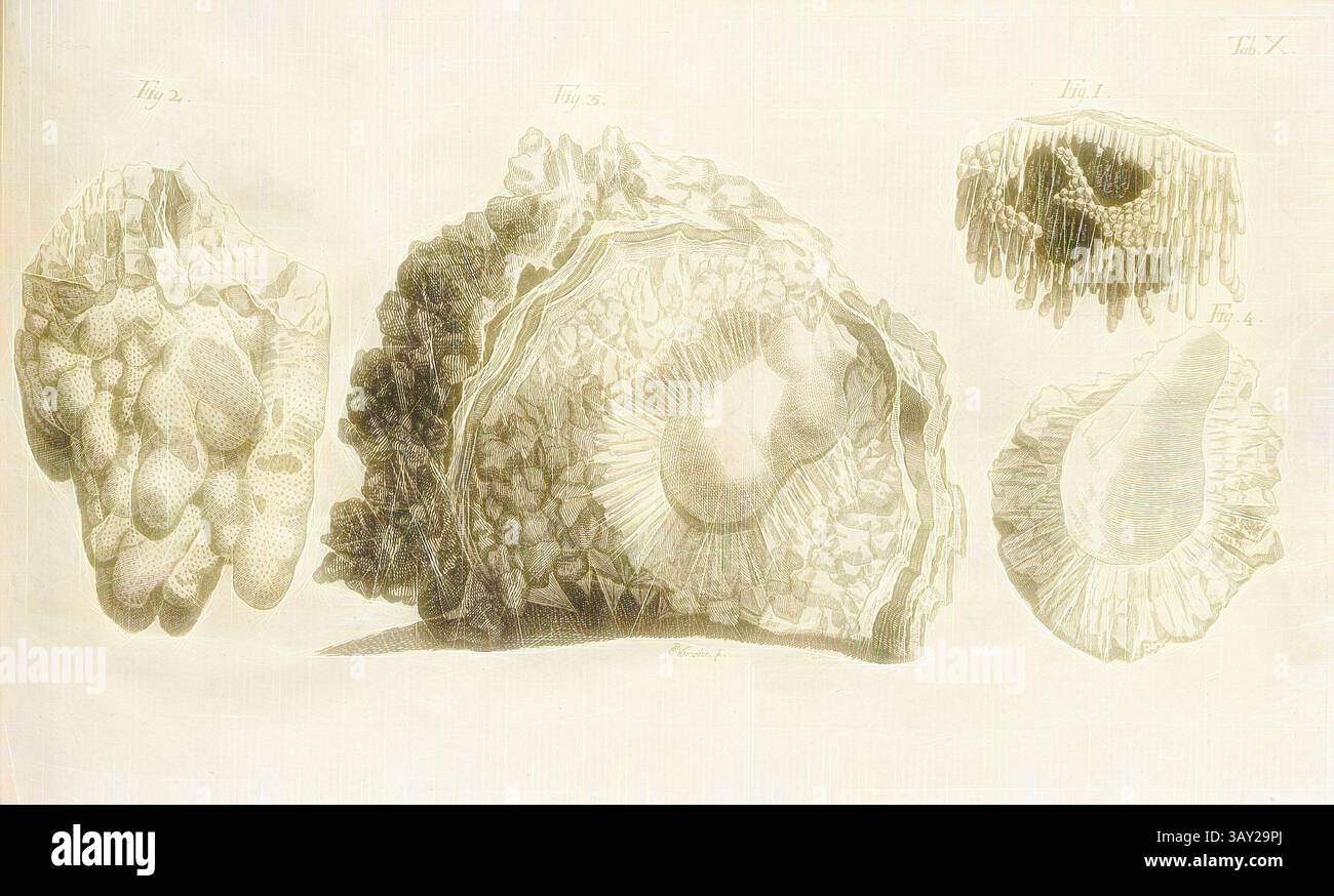 An intricate illustration of various mineral formations showcases their ...