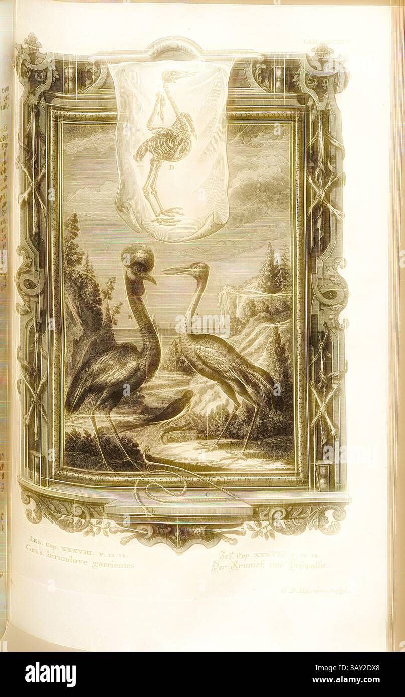 An intricate illustration featuring two large birds prominently ...