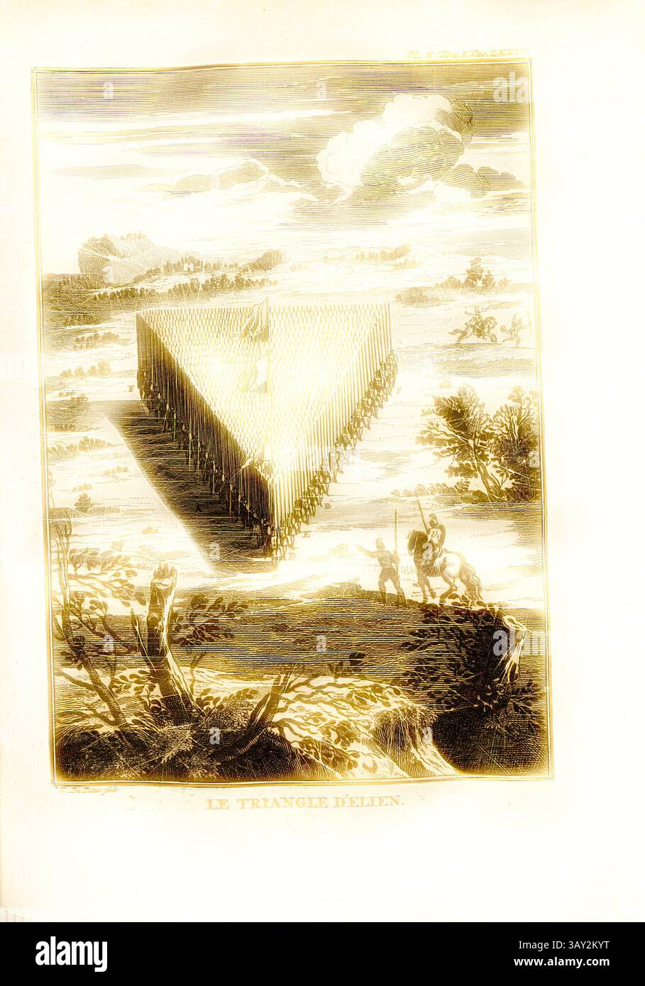 Triangular formation of sharpened stakes hi-res stock photography and ...