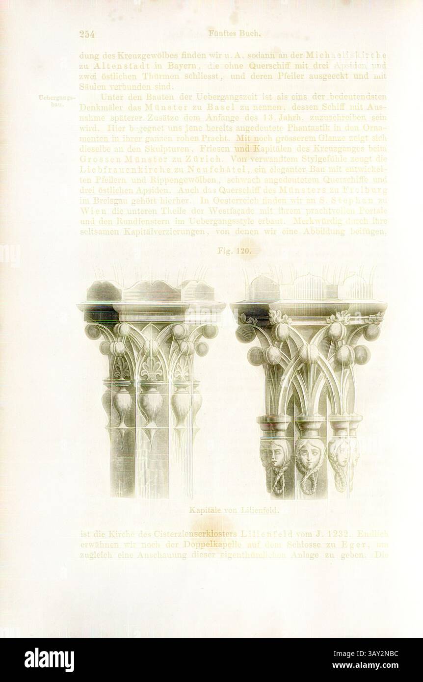 Detailed illustration of two ornate column capitals hi-res stock ...