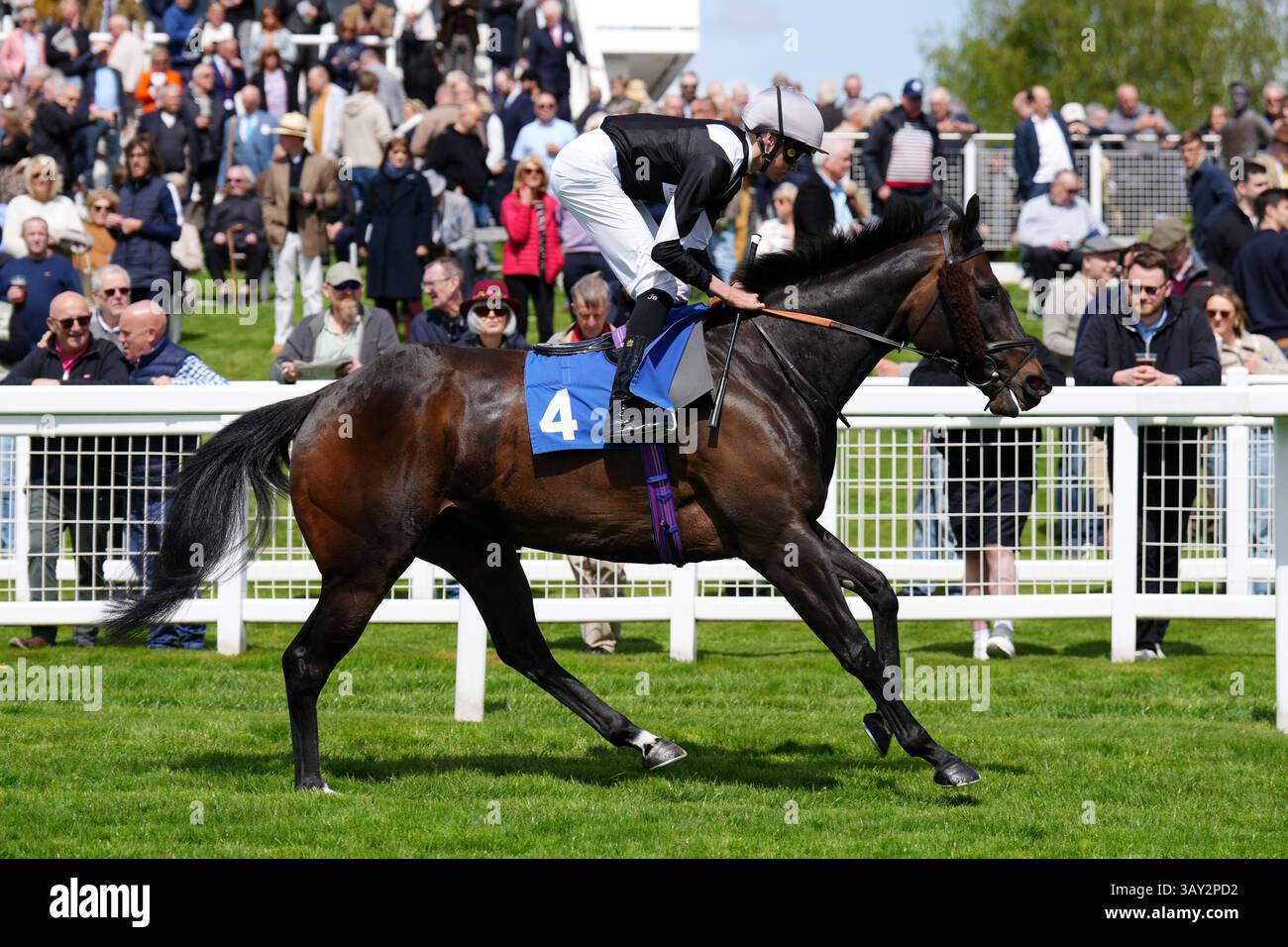 Jumbeau ridden by Jack Callan during The Spring Meeting at Epsom Downs ...