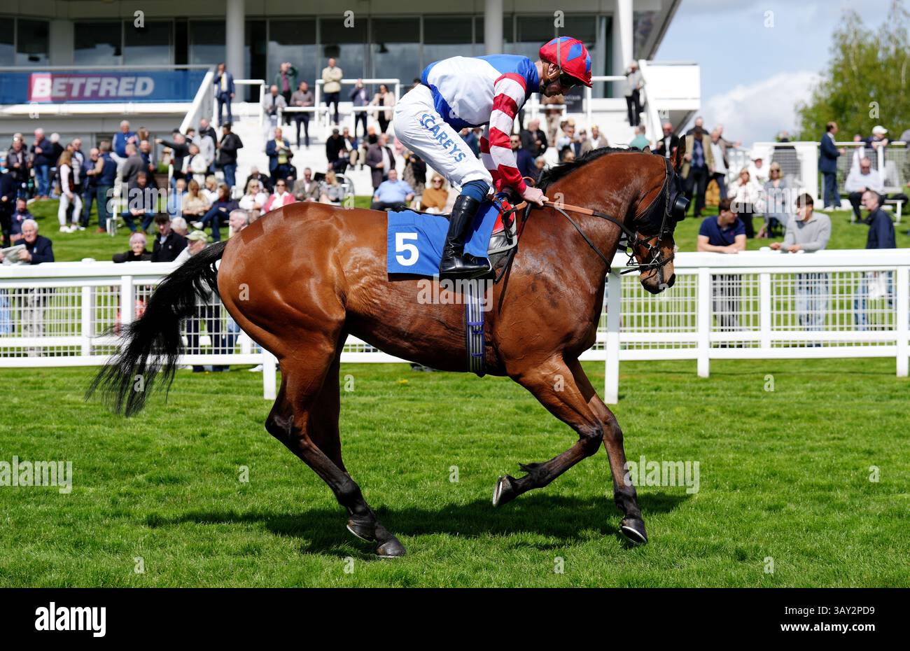 Twilight Fun ridden by Joey Haynes goes to post during The Spring ...