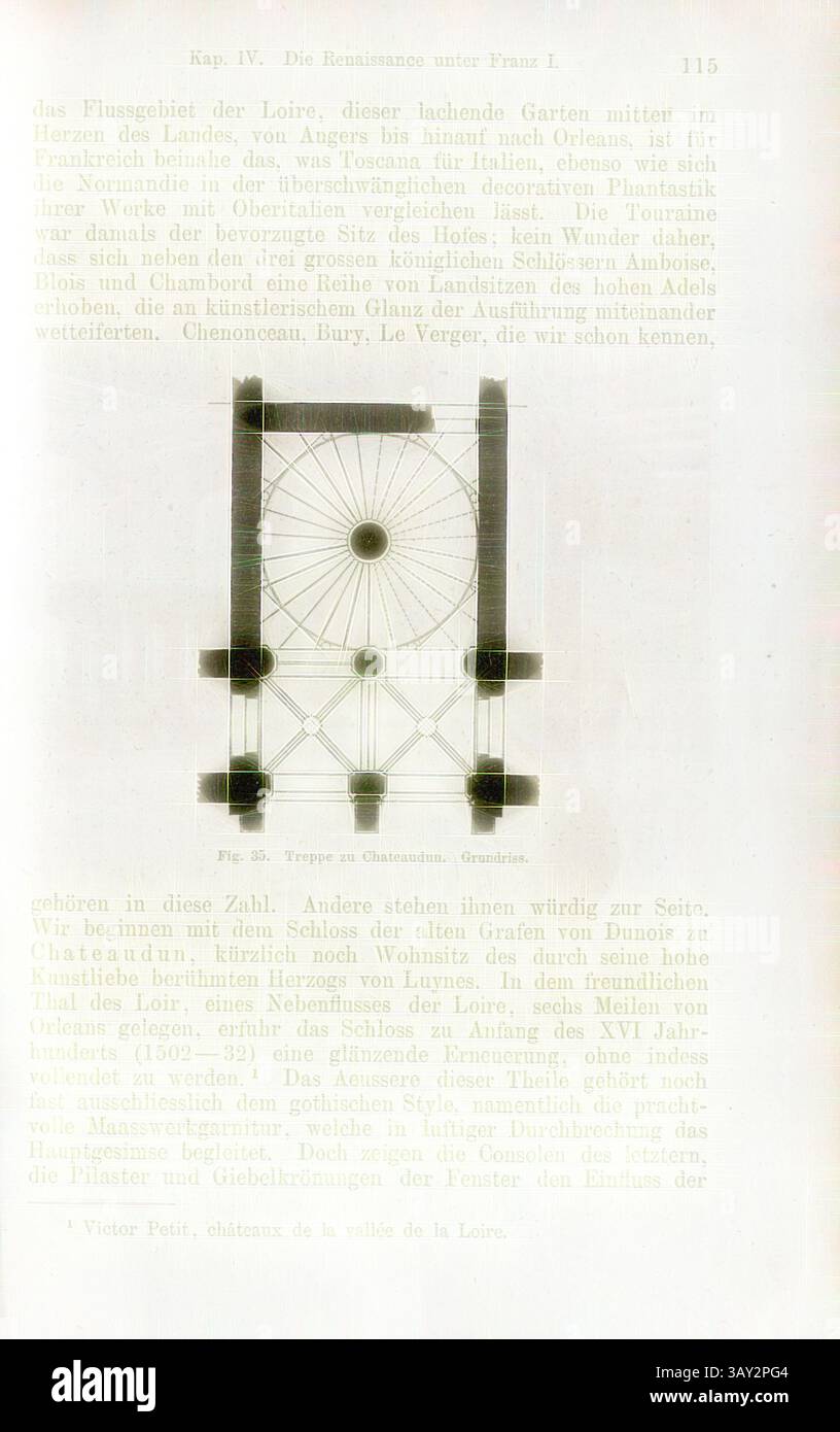 An illustration depicting a central garden design, featuring geometric ...