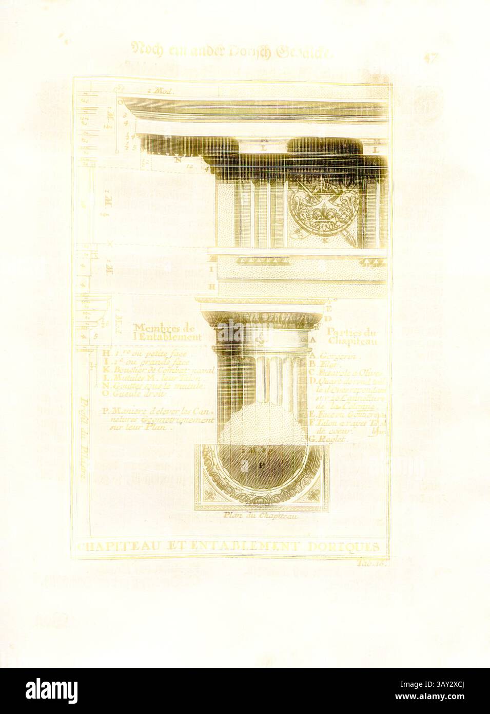 A detailed architectural drawing showcasing a classical column capital ...