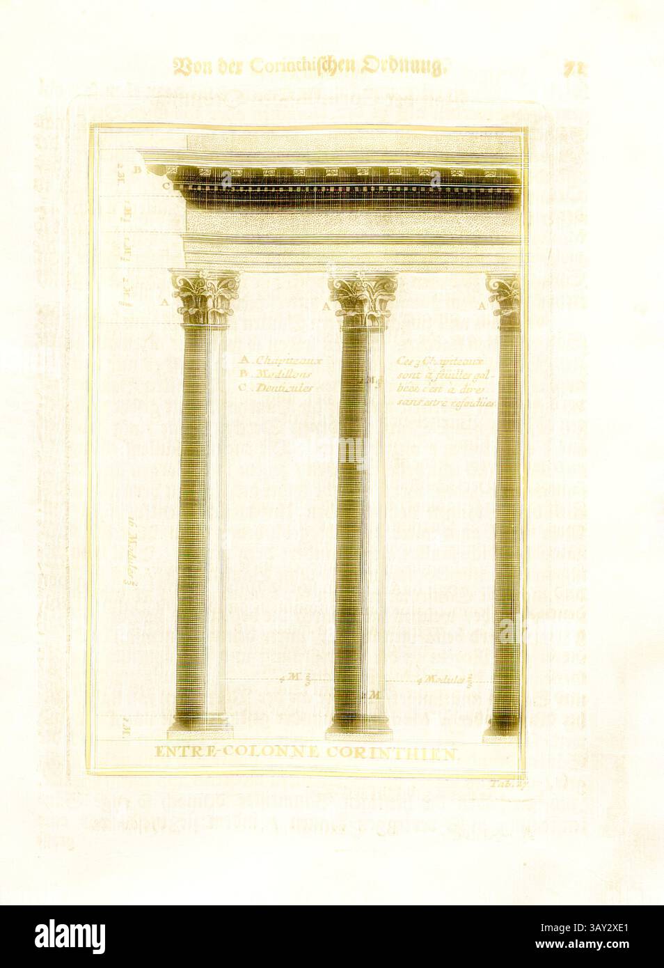 A detailed illustration showcasing three Corinthian columns, complete ...