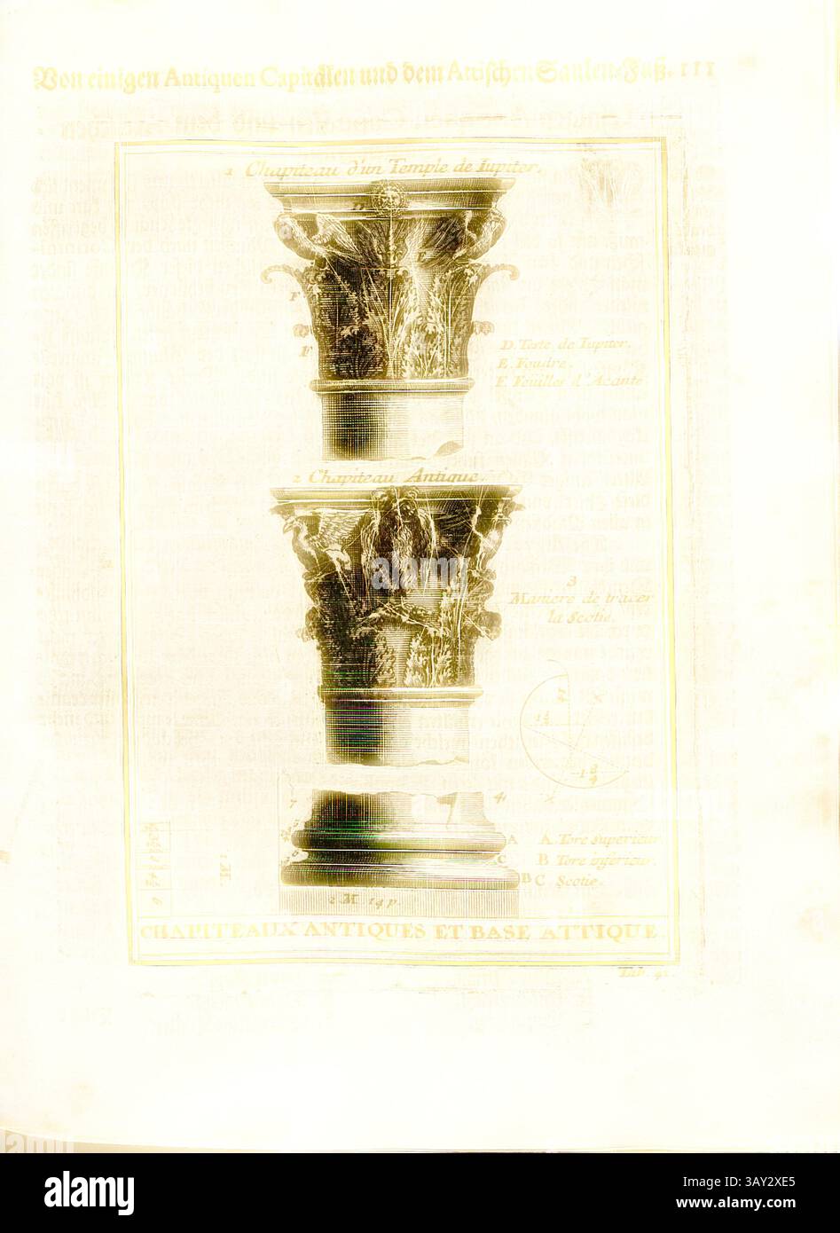 An illustration featuring two distinct architectural column capitals ...