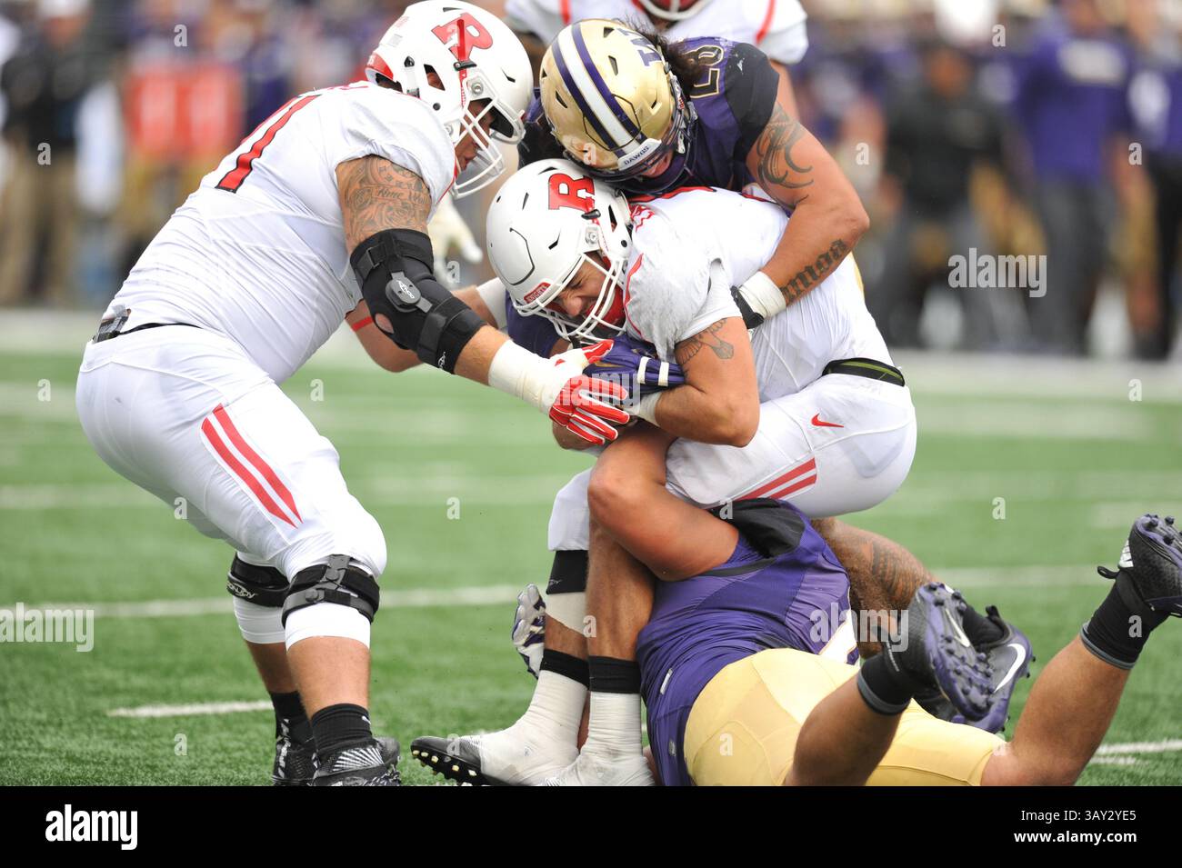 Chris qualls hi-res stock photography and images - Alamy