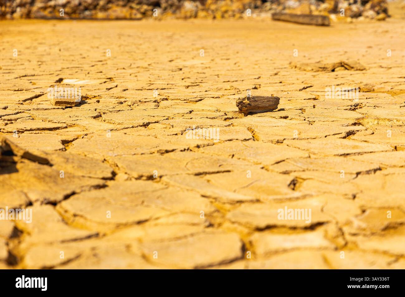 Dry cracked terrain and scattered wood debris in Mazarrón, Murcia ...