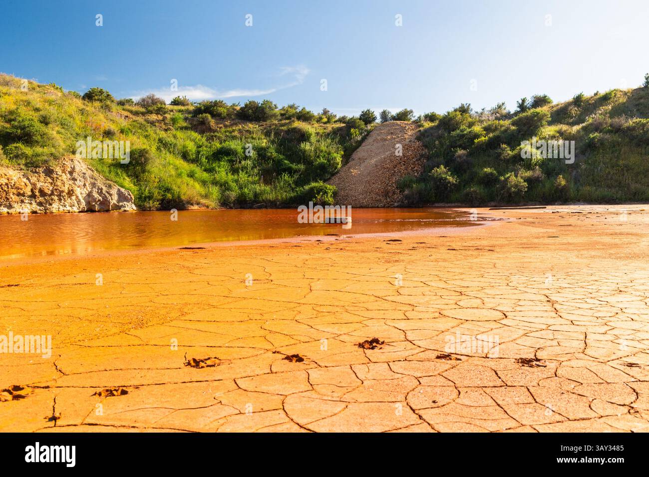 Cracked toxic ground with animal tracks and red polluted pond in ...