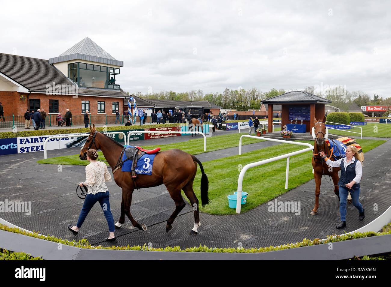 Horses in the parade ring at Fairyhouse Racecourse in County Meath ...