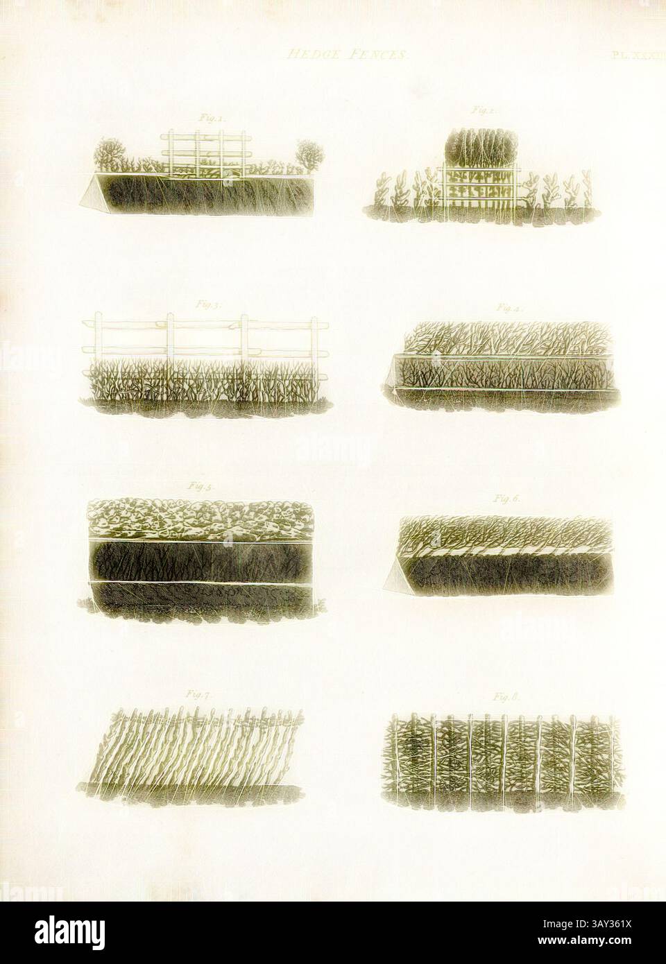 A detailed illustration showcasing various types of hedges and fences ...