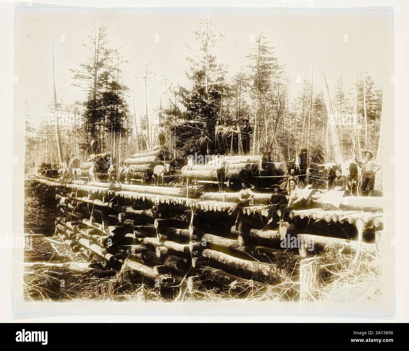 Labor intensive setting of early logging practices hi-res stock ...