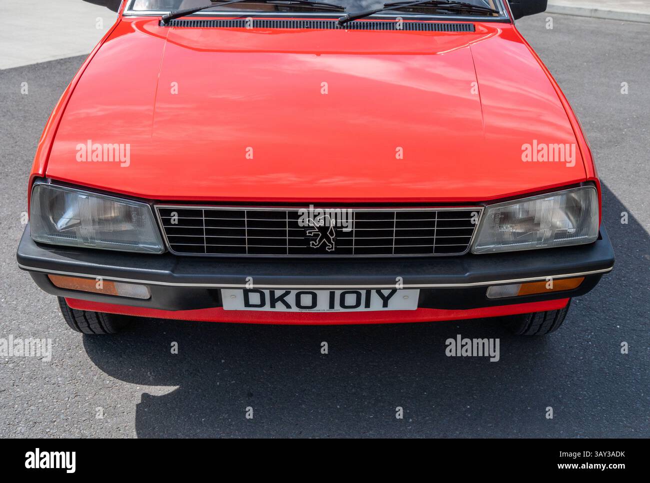 1982 Peugeot 505 estate classic French car Stock Photo - Alamy