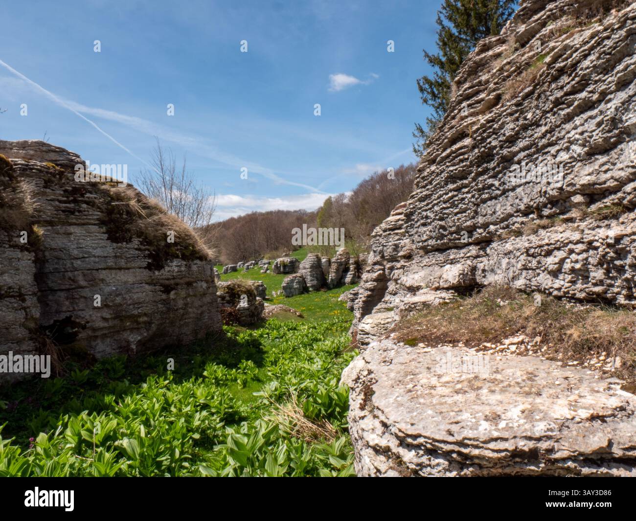 The sphinxes of Lessinia monoliths rock shaped by nature over thousands ...