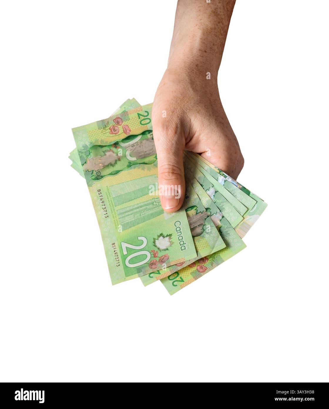 Person's hand holding twenty dollar canadian cash money bills isolated ...