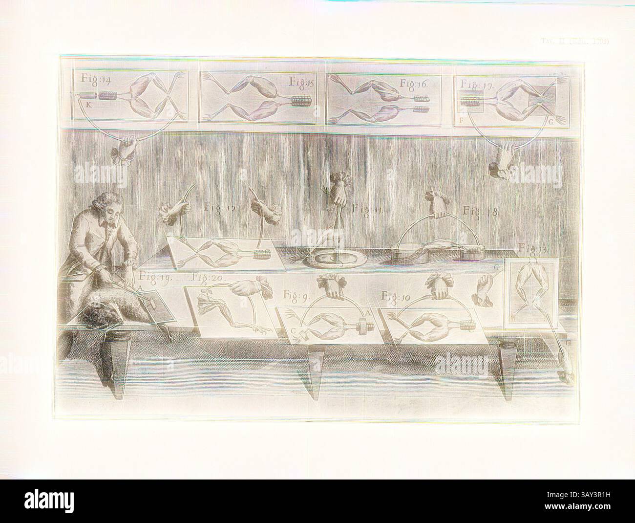 A seated figure contemplates various scientific illustrations displayed ...