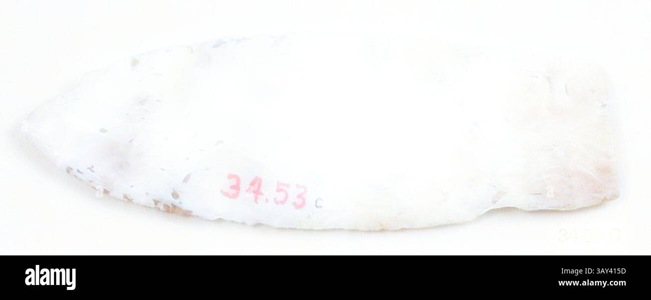 A smooth, elongated stone artifact with a pointed edge and markings ...