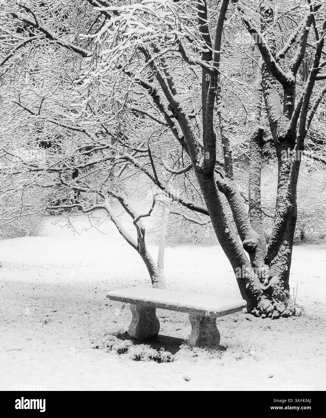 Palette tranquil Black and White Stock Photos & Images - Alamy