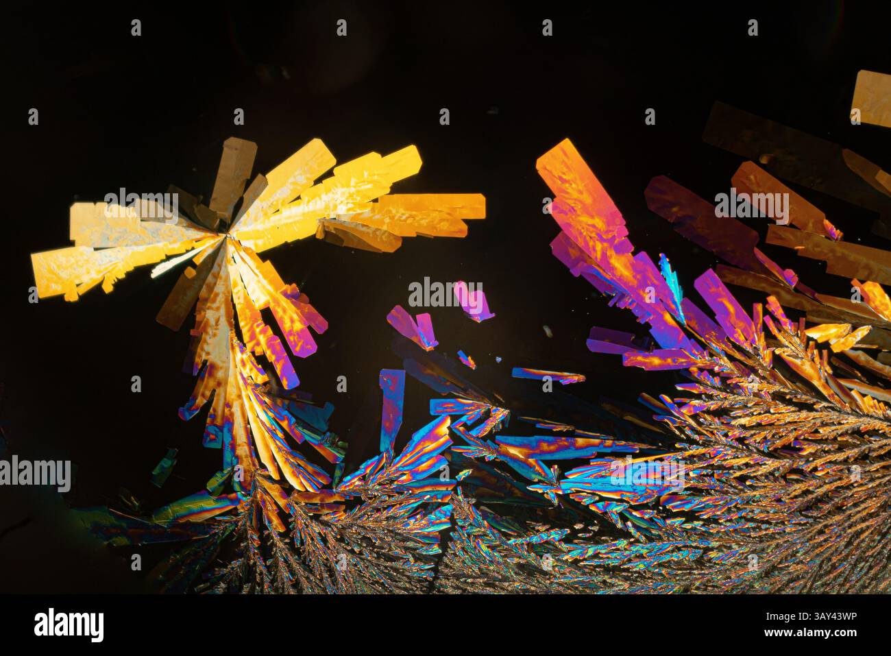 This image captures the vivid and intricate details of Vitamin C ...