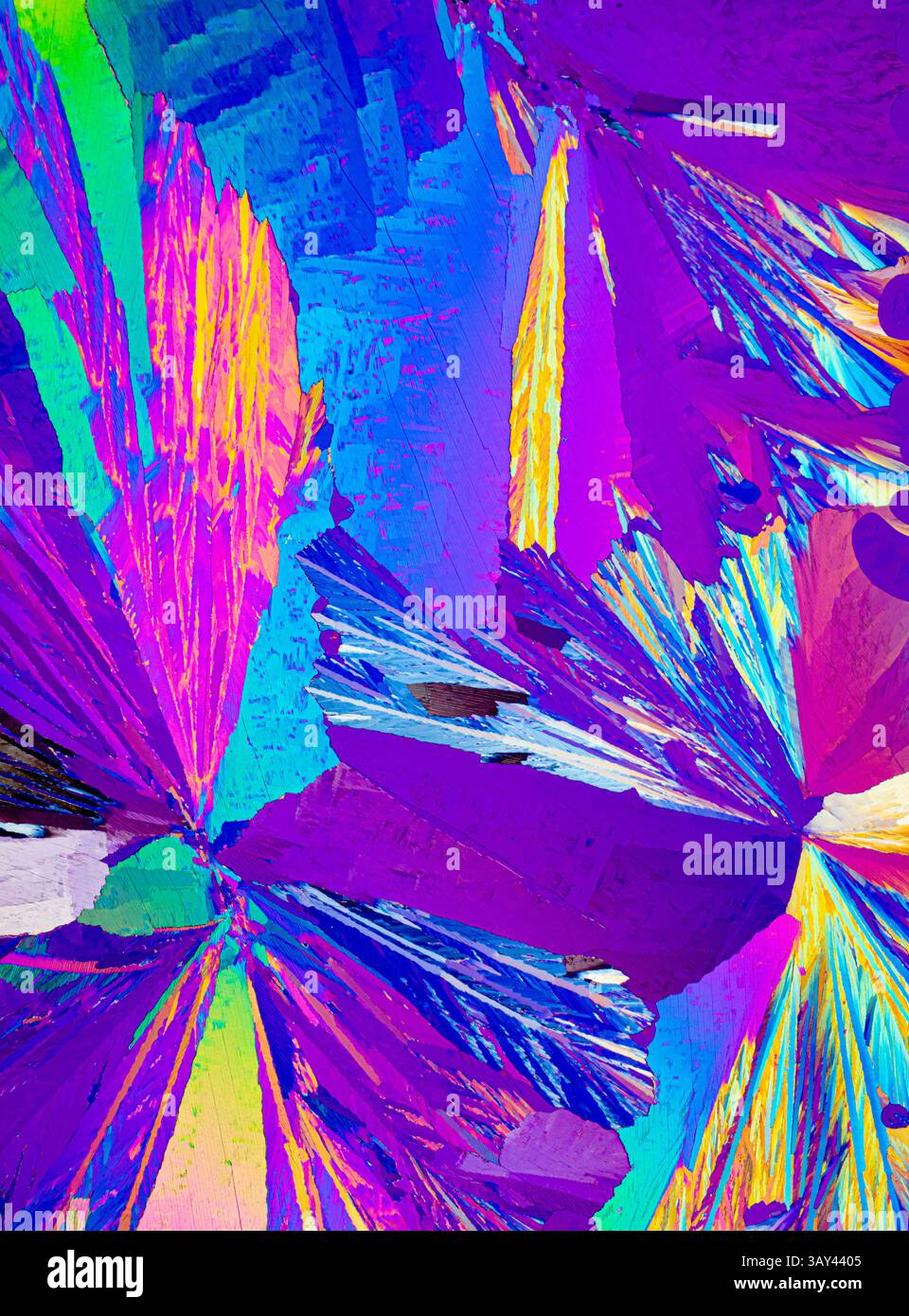 Vibrant polarized light micrograph showing Adipic acid crystals in ...