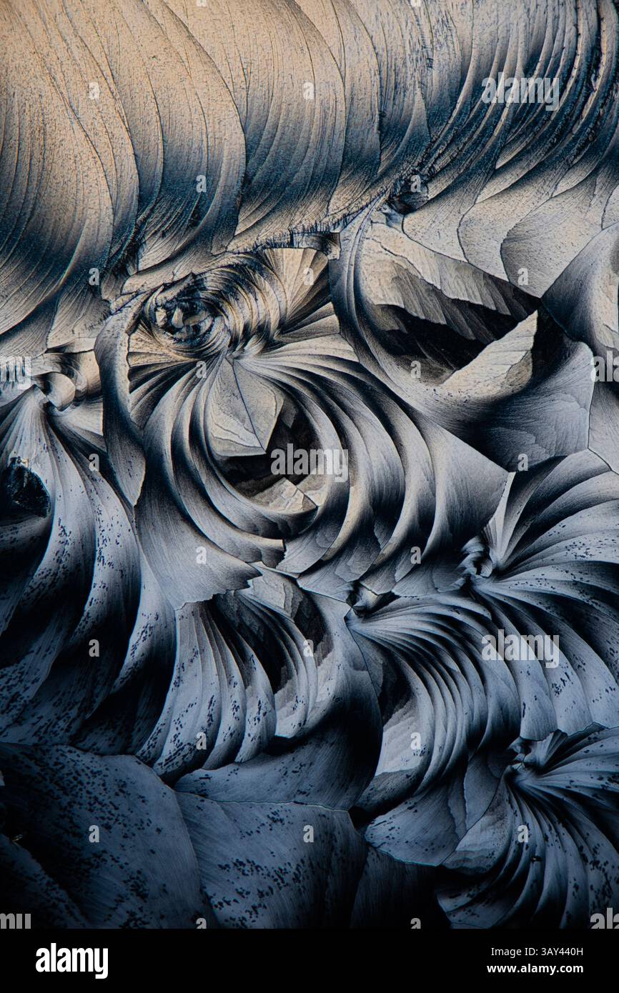 Captivating image showcasing the intricate textures and patterns of ...