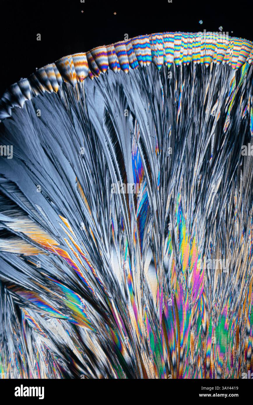 Stunning, colorful patterns of hippuric acid crystals under a ...