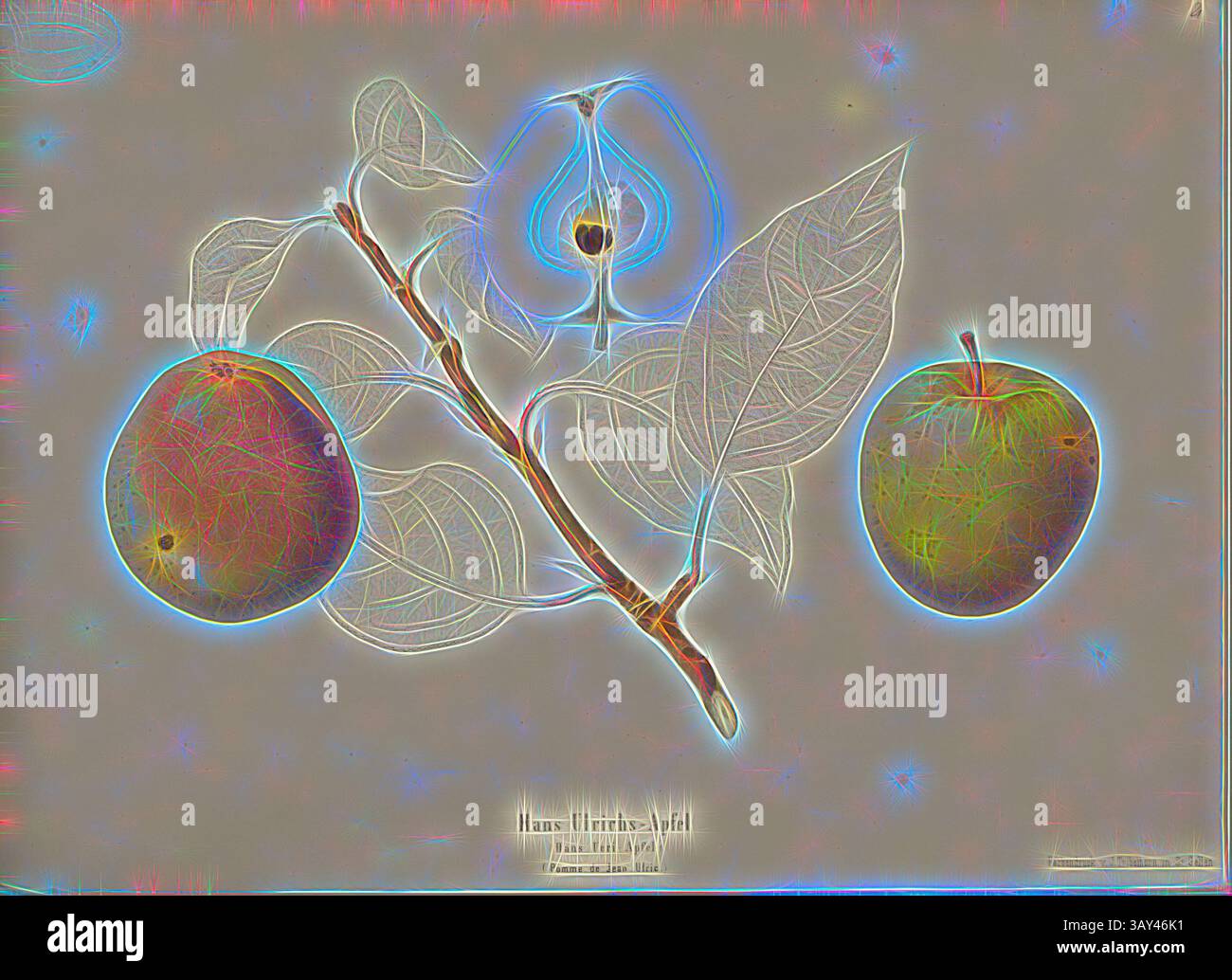 Stylized depiction of three fruit hi-res stock photography and images ...
