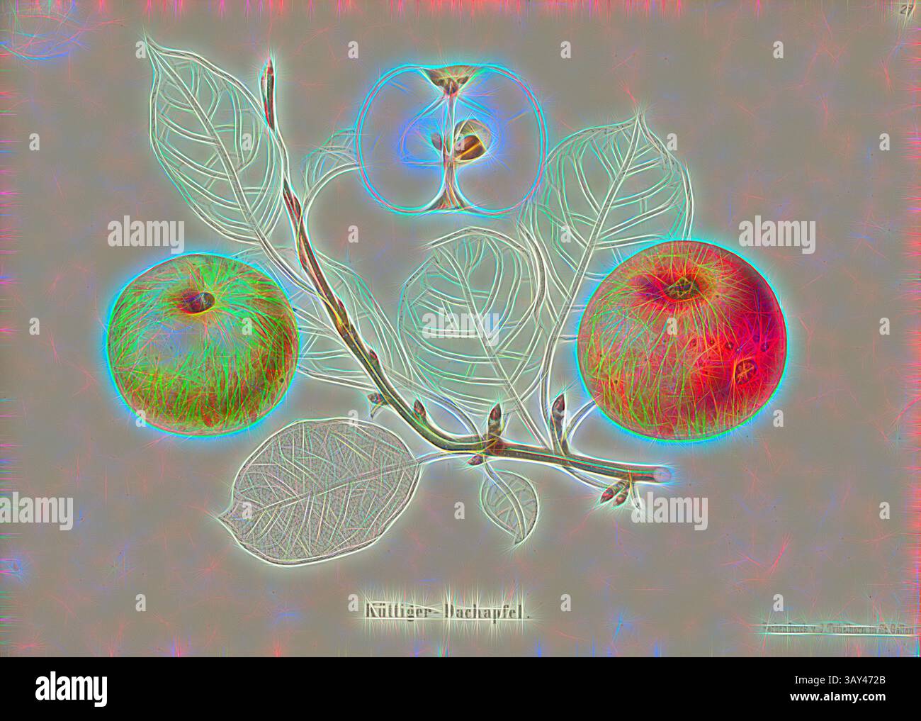 Surreal arrangement of stylized fruits hi-res stock photography and ...