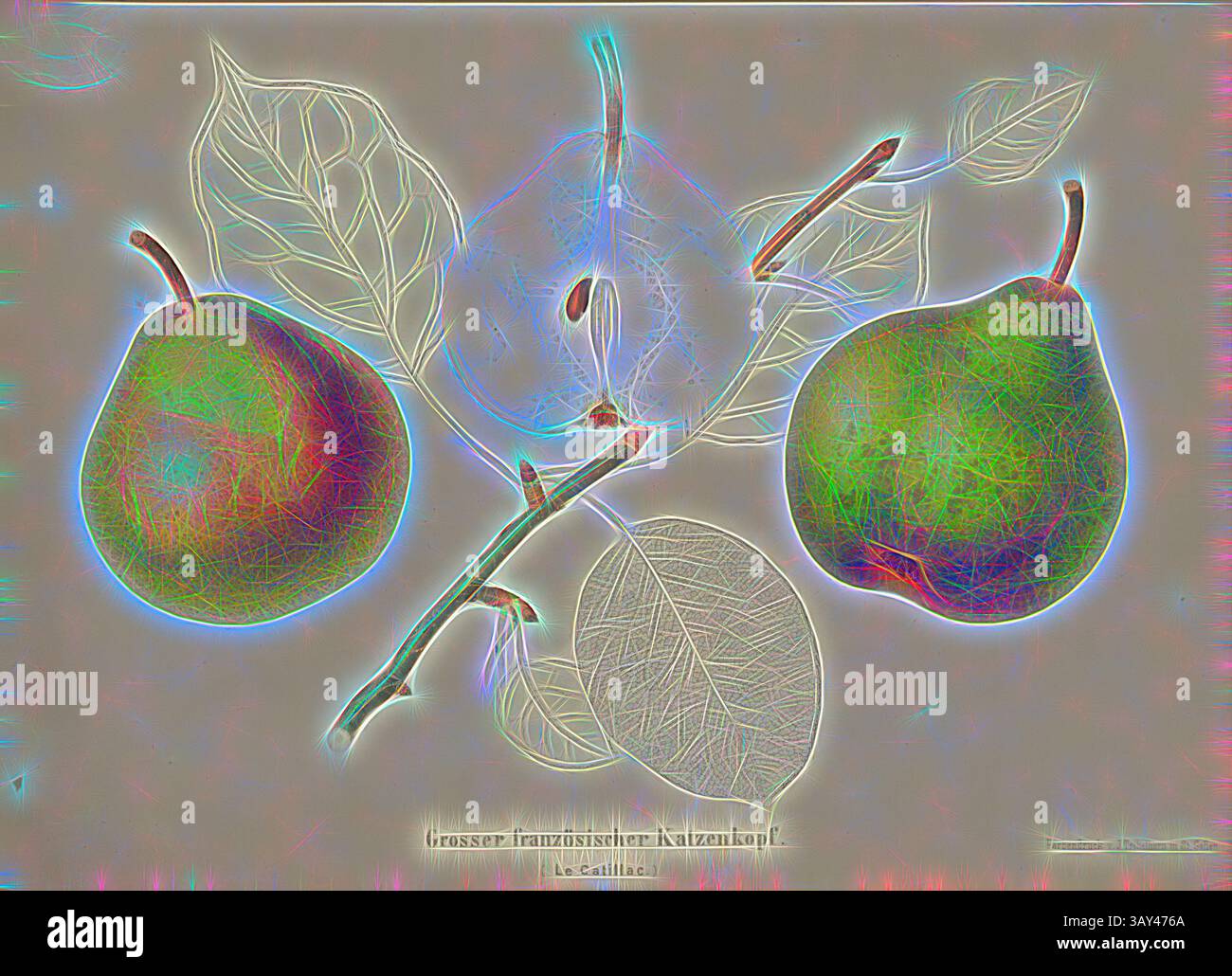 A collection of pears accompanied by delicate leaves, presented in a ...