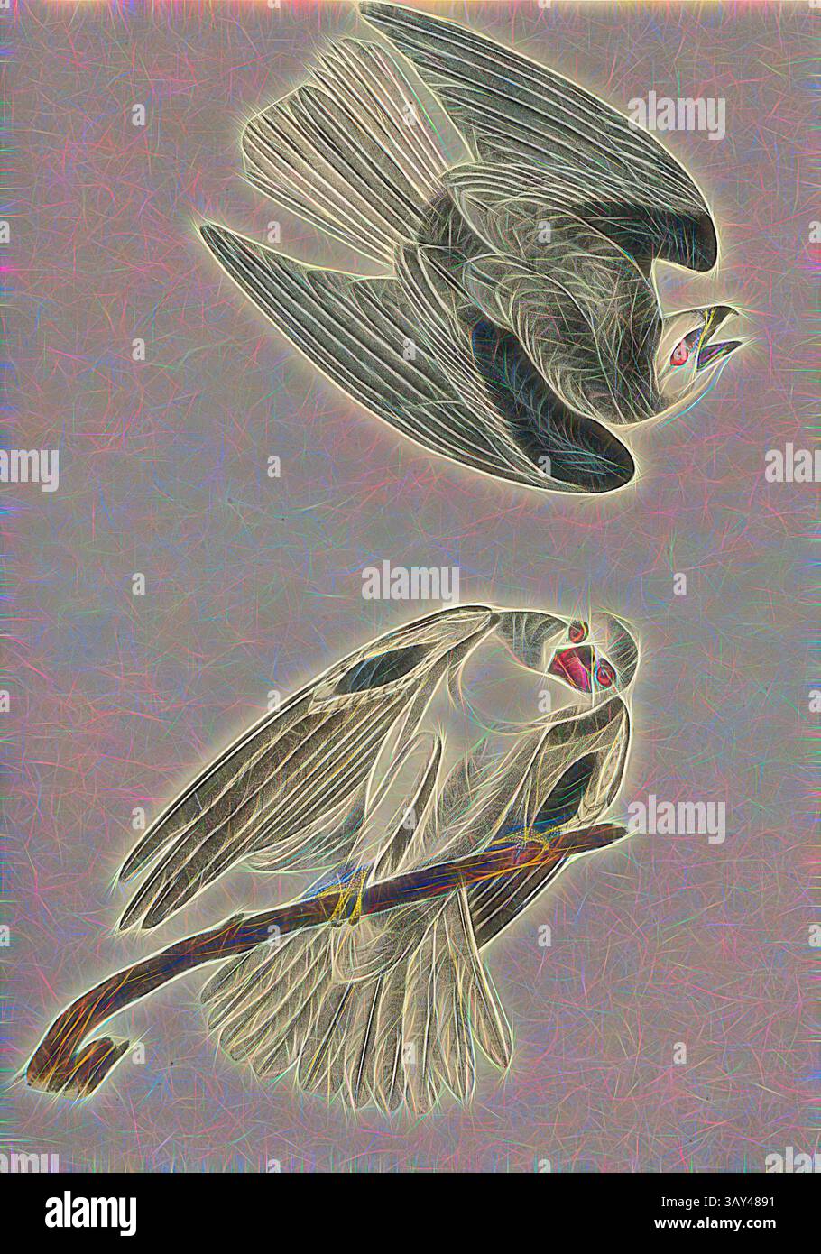 Two stylized birds are depicted in dynamic poses, one in flight with ...