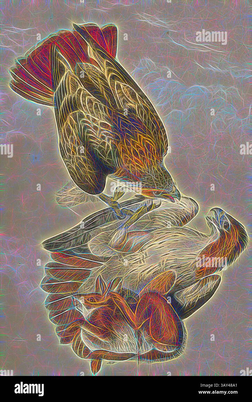 Red tailed hawkbill hi-res stock photography and images - Alamy