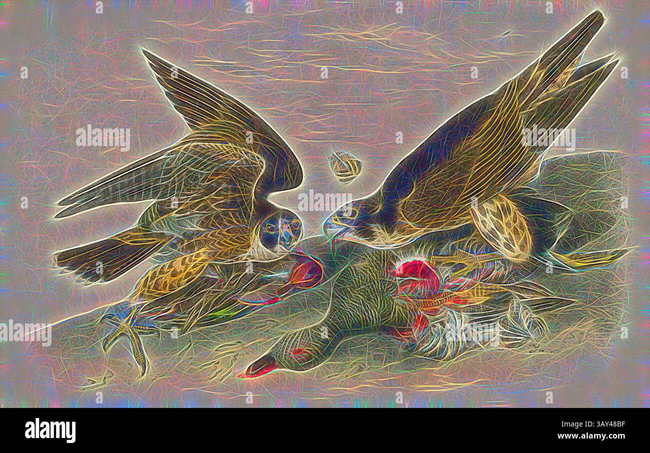 Colorful scattering of feathers hi-res stock photography and images - Alamy